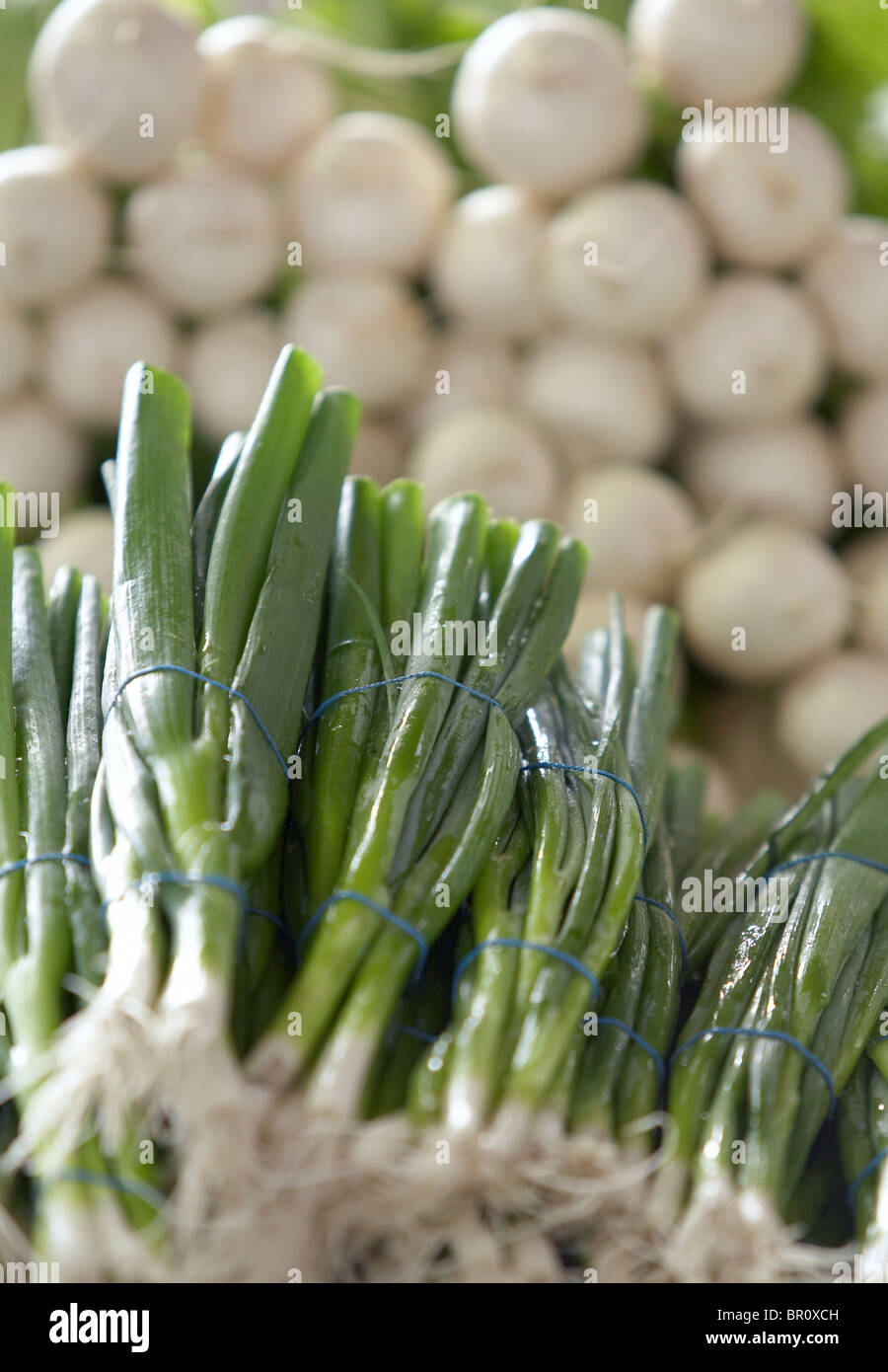 Bundles Of Spring Onion High Resolution Stock Photography and Images ...