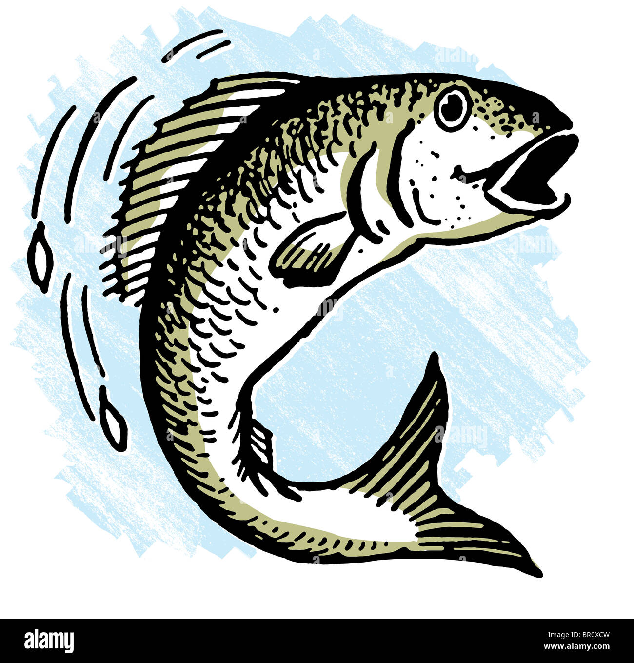 An illustration of a fish out of water Stock Photo - Alamy