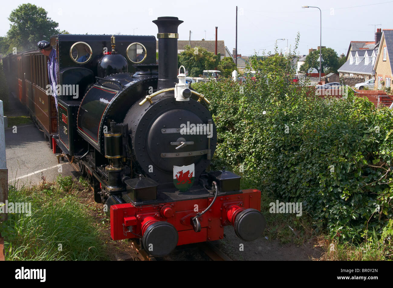 Train on the narrow gauge Talyllyn Railway at the level crossing at ...
