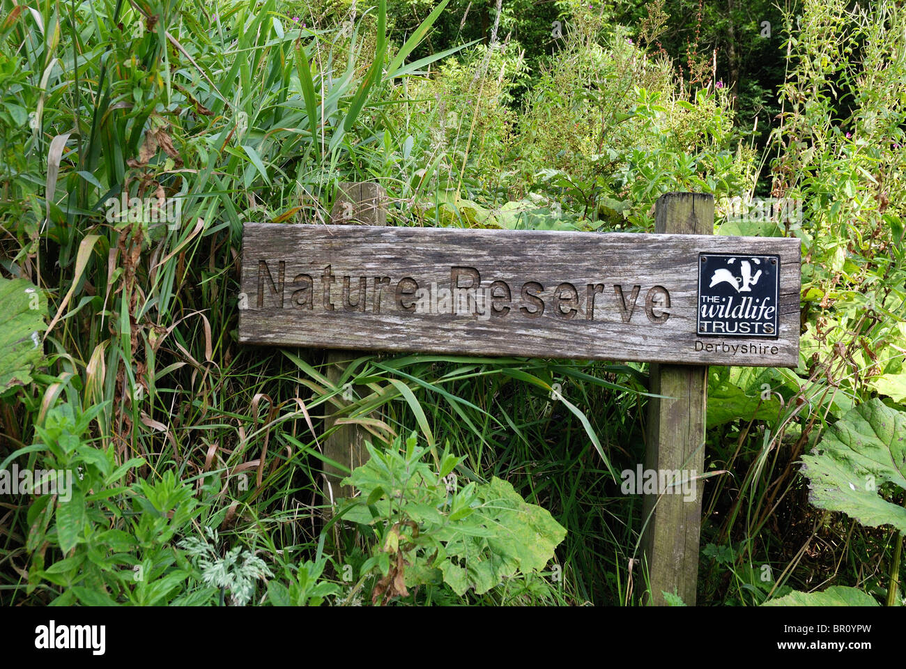Chee dale Derbyshire england UK Stock Photo - Alamy