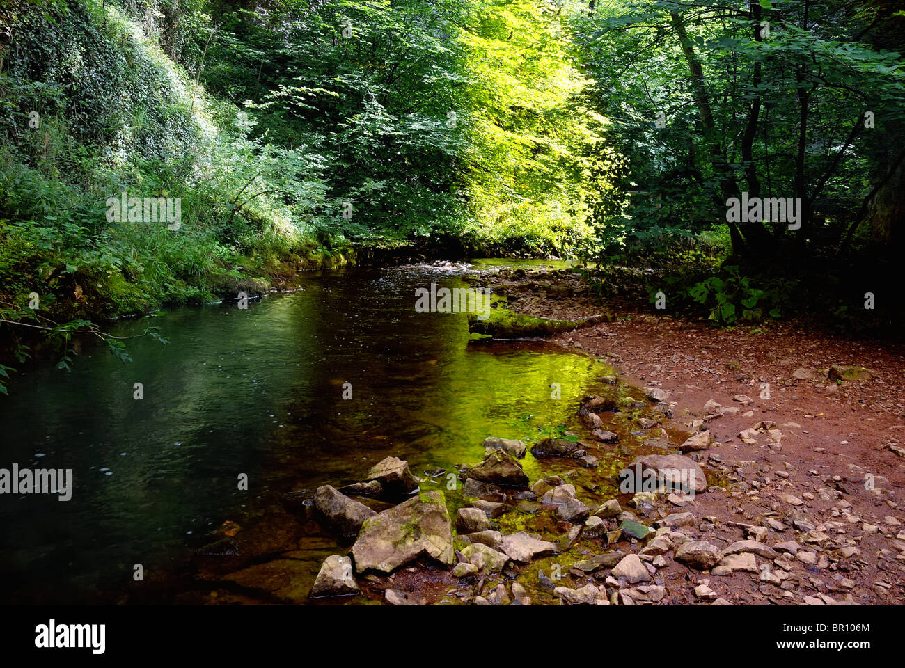 Chee dale Derbyshire england UK Stock Photo - Alamy