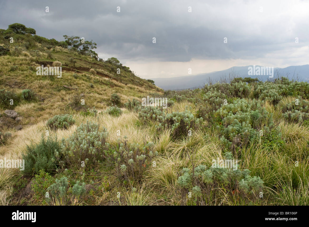 Olmoti crater, Ngorongoro Conservation Area, Tanzania Stock Photo - Alamy