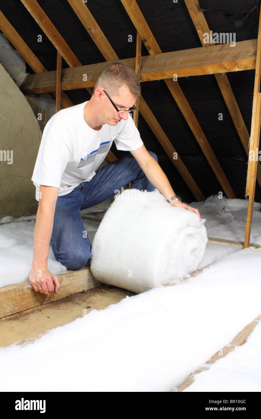 Man laying loft insulation in attic roofspace Stock Photo - Alamy