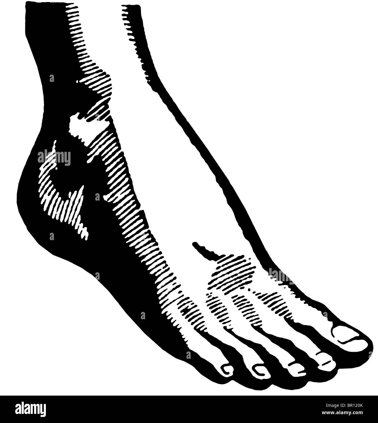 Foot illustration black and white hi-res stock photography and images ...