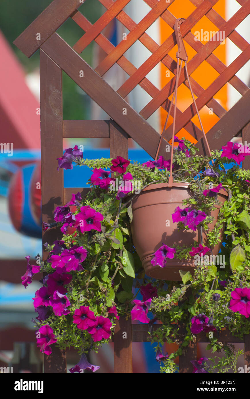 Cache pot hi-res stock photography and images - Alamy