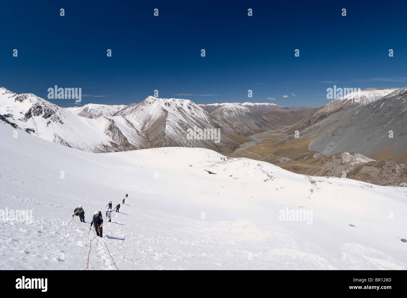 New zealand team helmet hi-res stock photography and images - Alamy