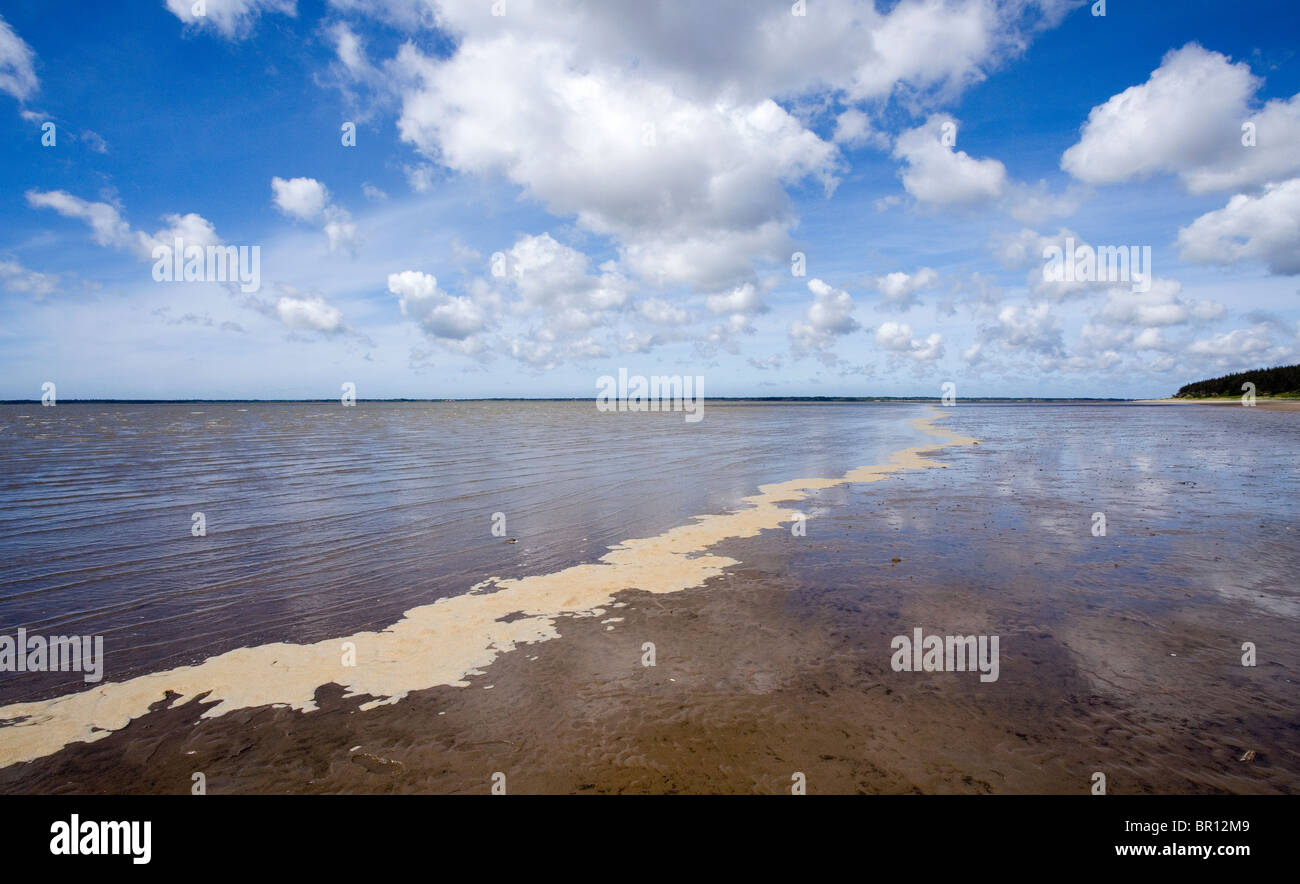 photograph of an empty beach in Denmark Stock Photo - Alamy