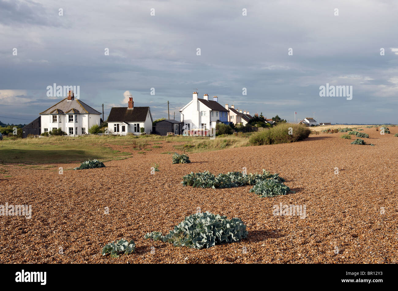 Shingle Street, Suffolk, UK Stock Photo - Alamy