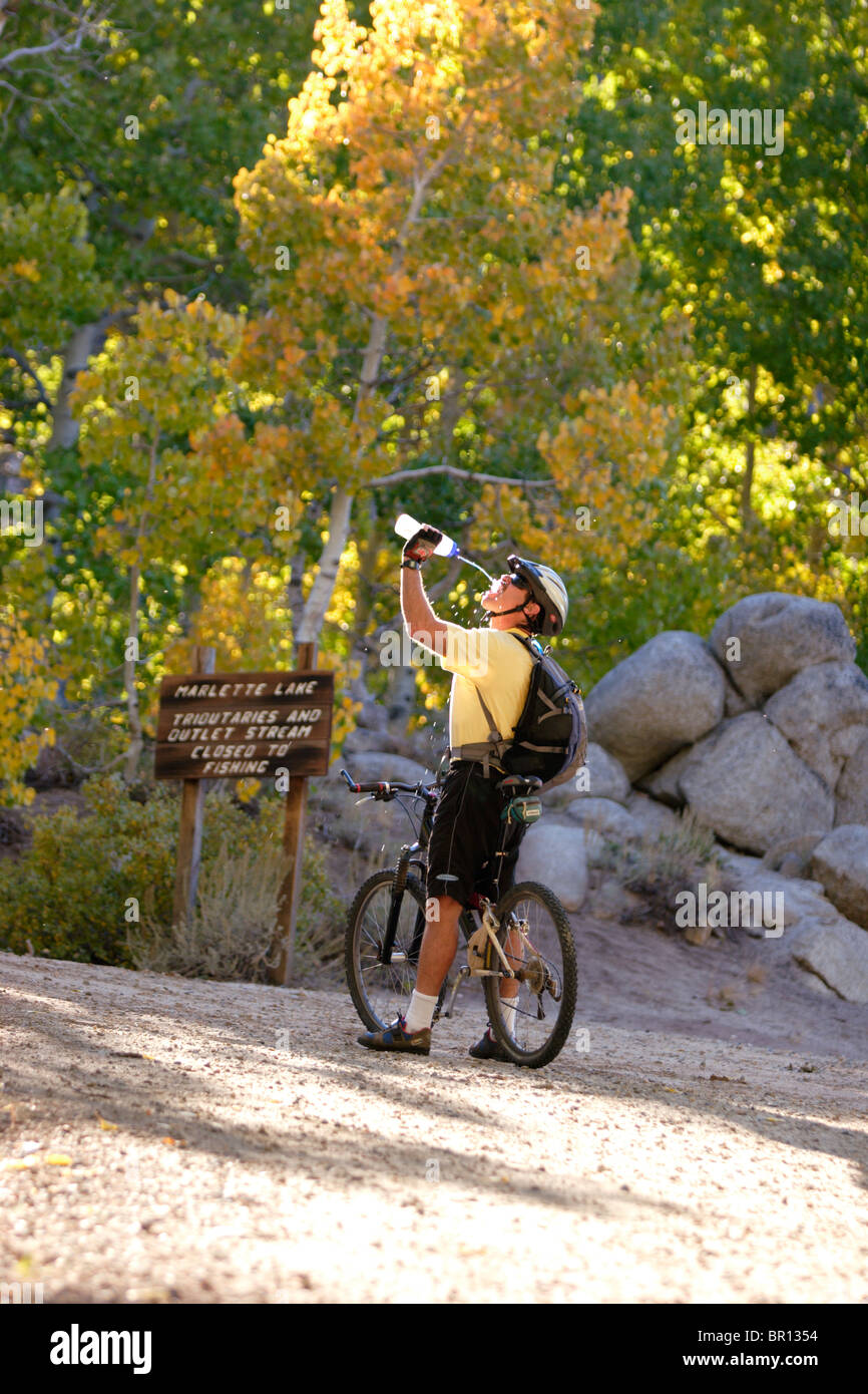 Man drinking water along the Flume Trail. Lake Tahoe, California Stock ...