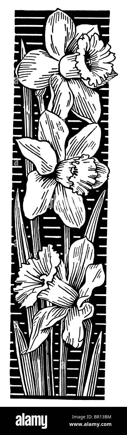 Cluster growing Black and White Stock Photos & Images - Alamy