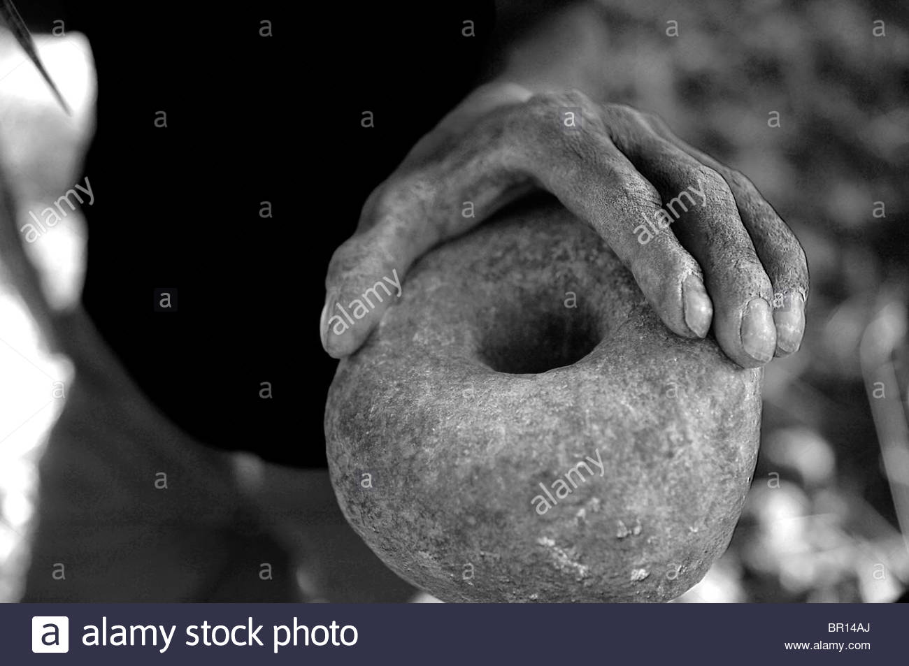 Khat Farming Stock Photos & Khat Farming Stock Images - Alamy