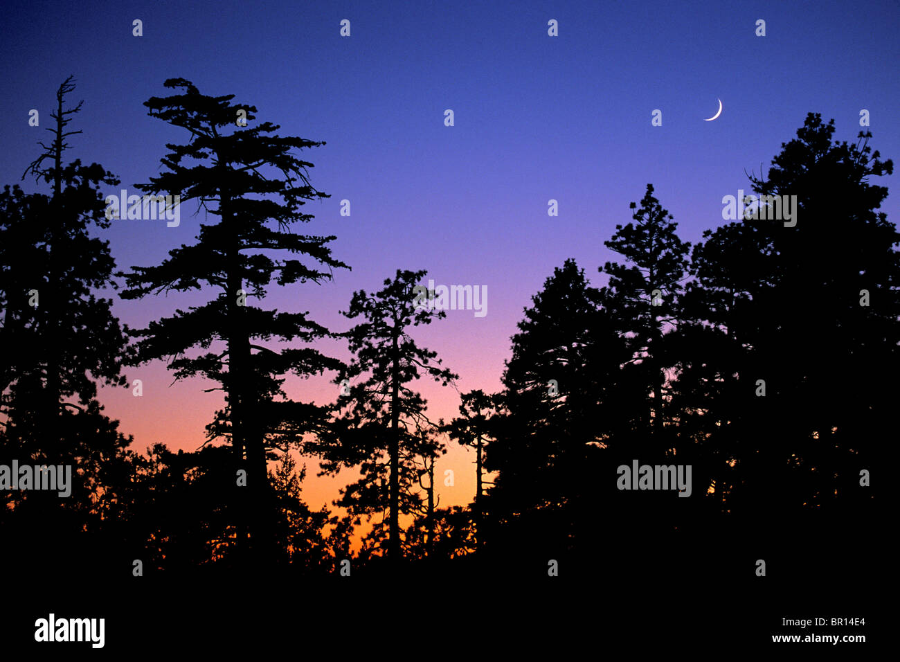 Moon at twilight in Yosemite National Park in California Stock Photo ...