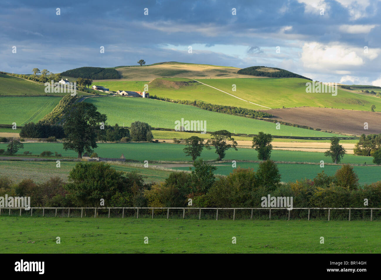 Bowmont northumberland hi-res stock photography and images - Alamy