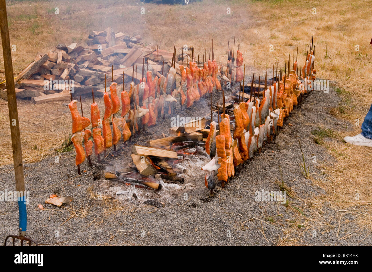 Cooking fresh salmon the native way Stock Photo - Alamy