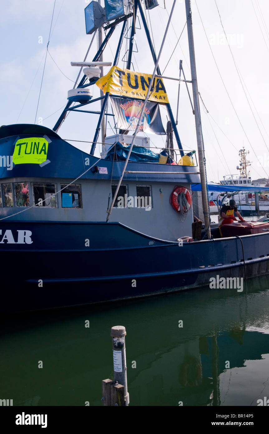 Tuna selling off the boat hi-res stock photography and images - Alamy