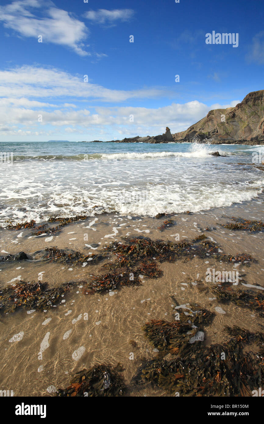 Hartland Quay, North Devon, England, UK Stock Photo - Alamy