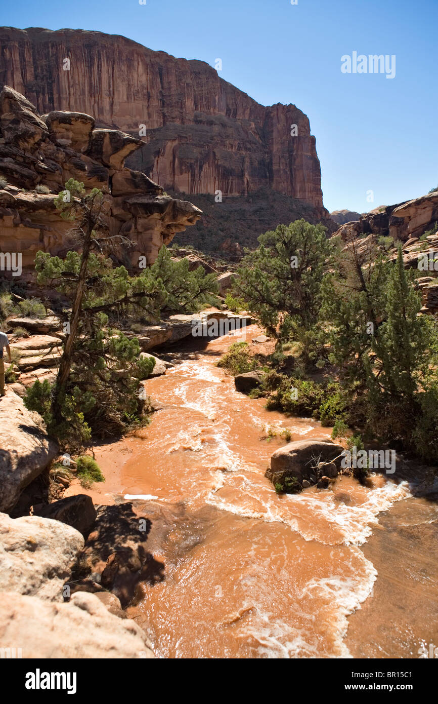 Culvert Canyon flash flooding shortly after a rain downpour, Moab, Utah ...