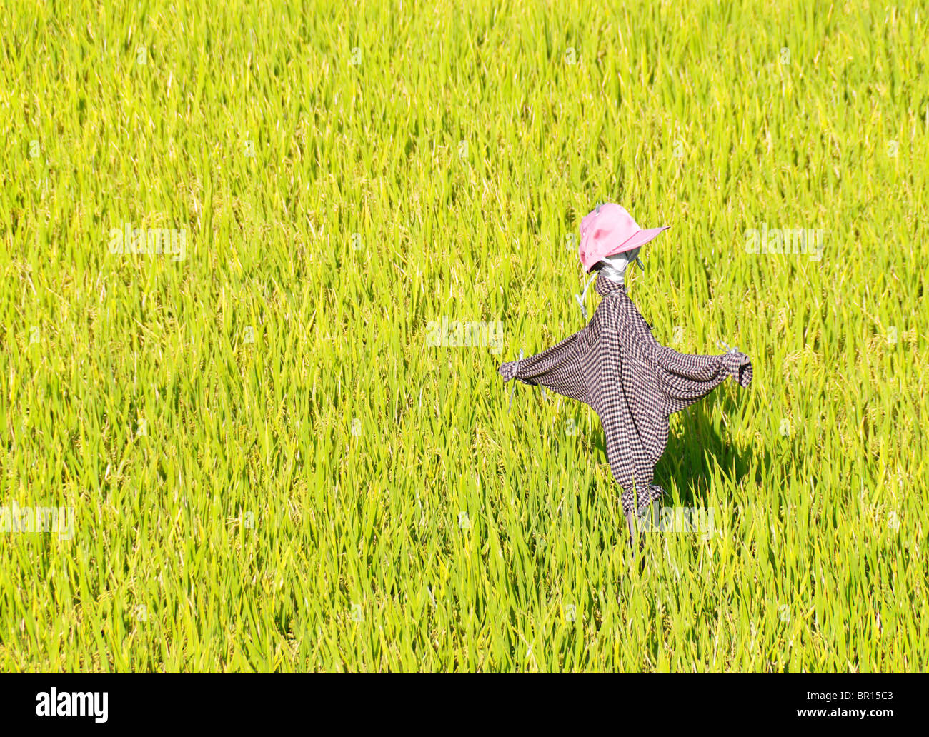Japanese scarecrow hi-res stock photography and images - Alamy