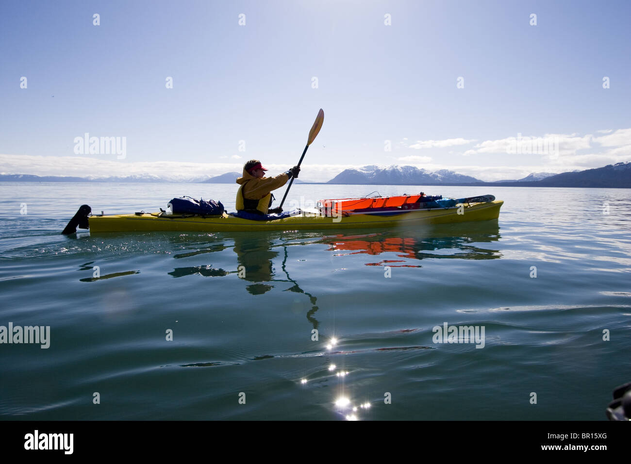 Man sea kayaking, Glacier Bay, Alaska Stock Photo - Alamy