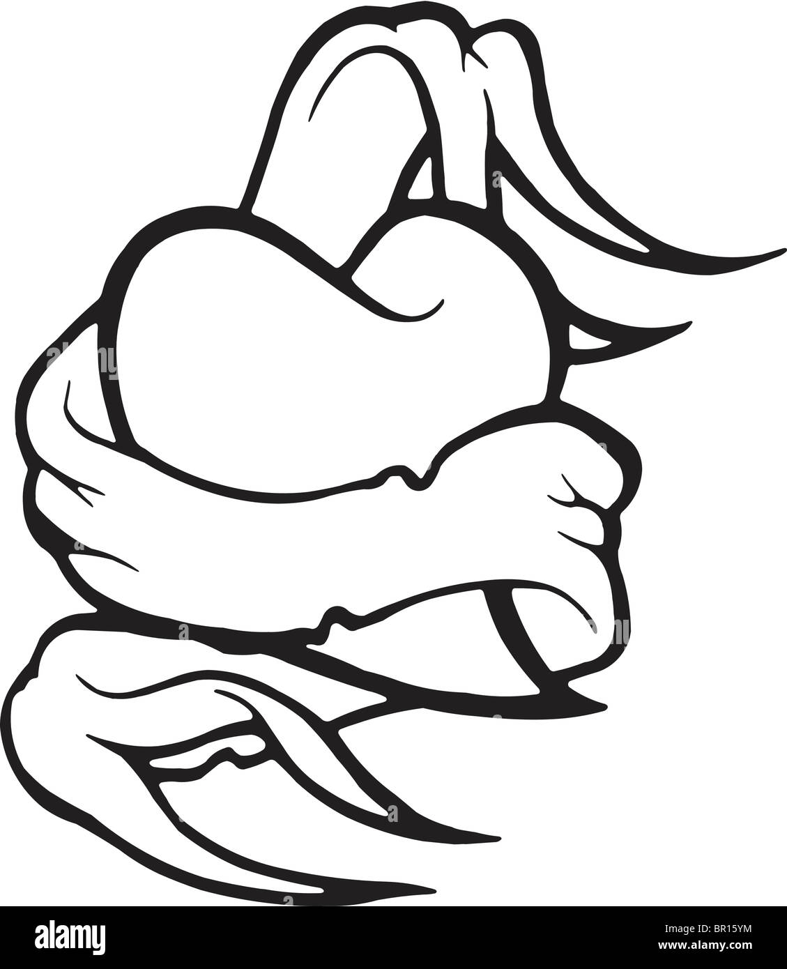 How To Draw A Heart With A Rose Wrapped Around It