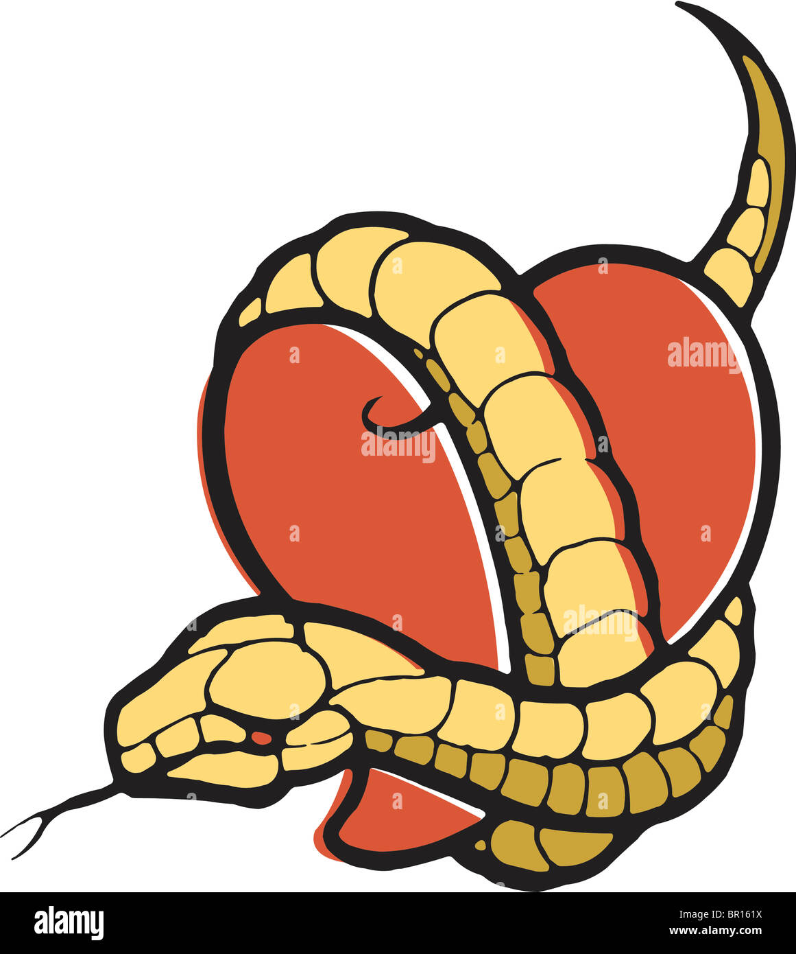 Snake wrapped hi-res stock photography and images - Alamy