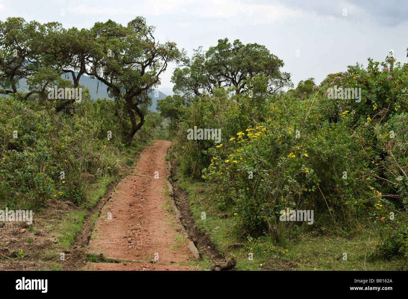 Olmoti crater, Ngorongoro Conservation Area, Tanzania Stock Photo - Alamy