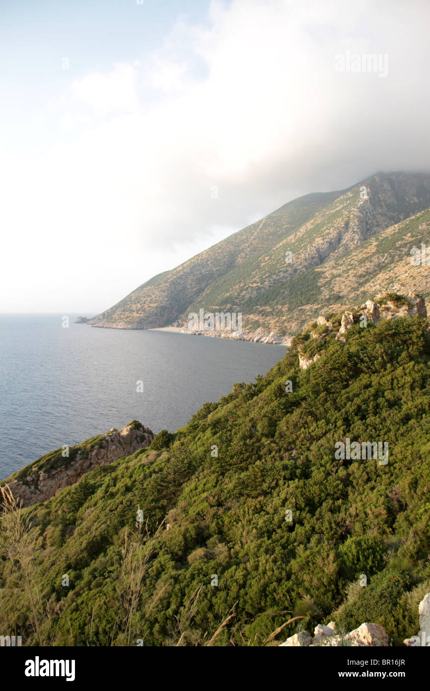 Middle cove beach hi-res stock photography and images - Alamy