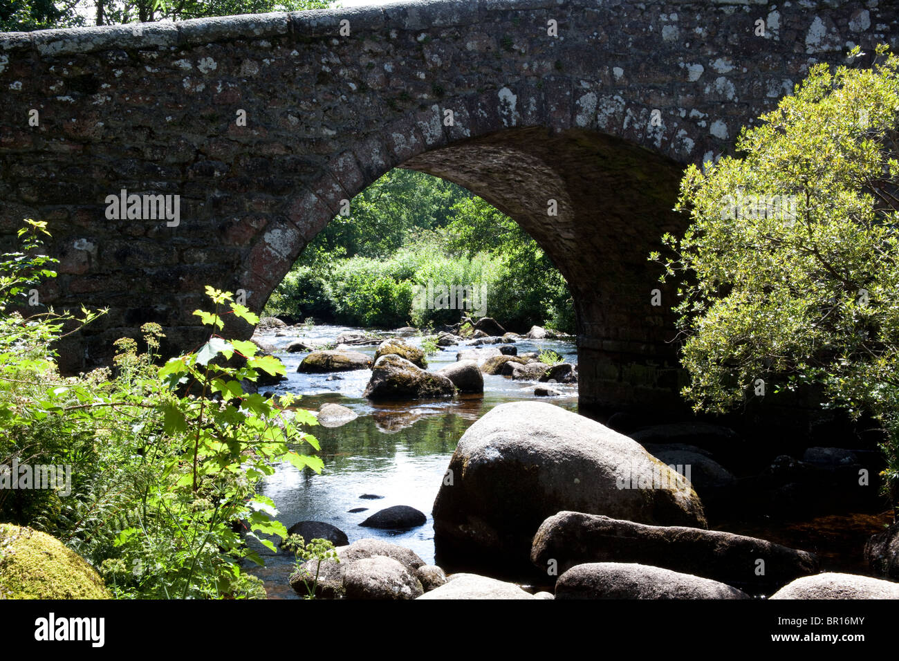 Badger's holt dartmoor hi-res stock photography and images - Alamy