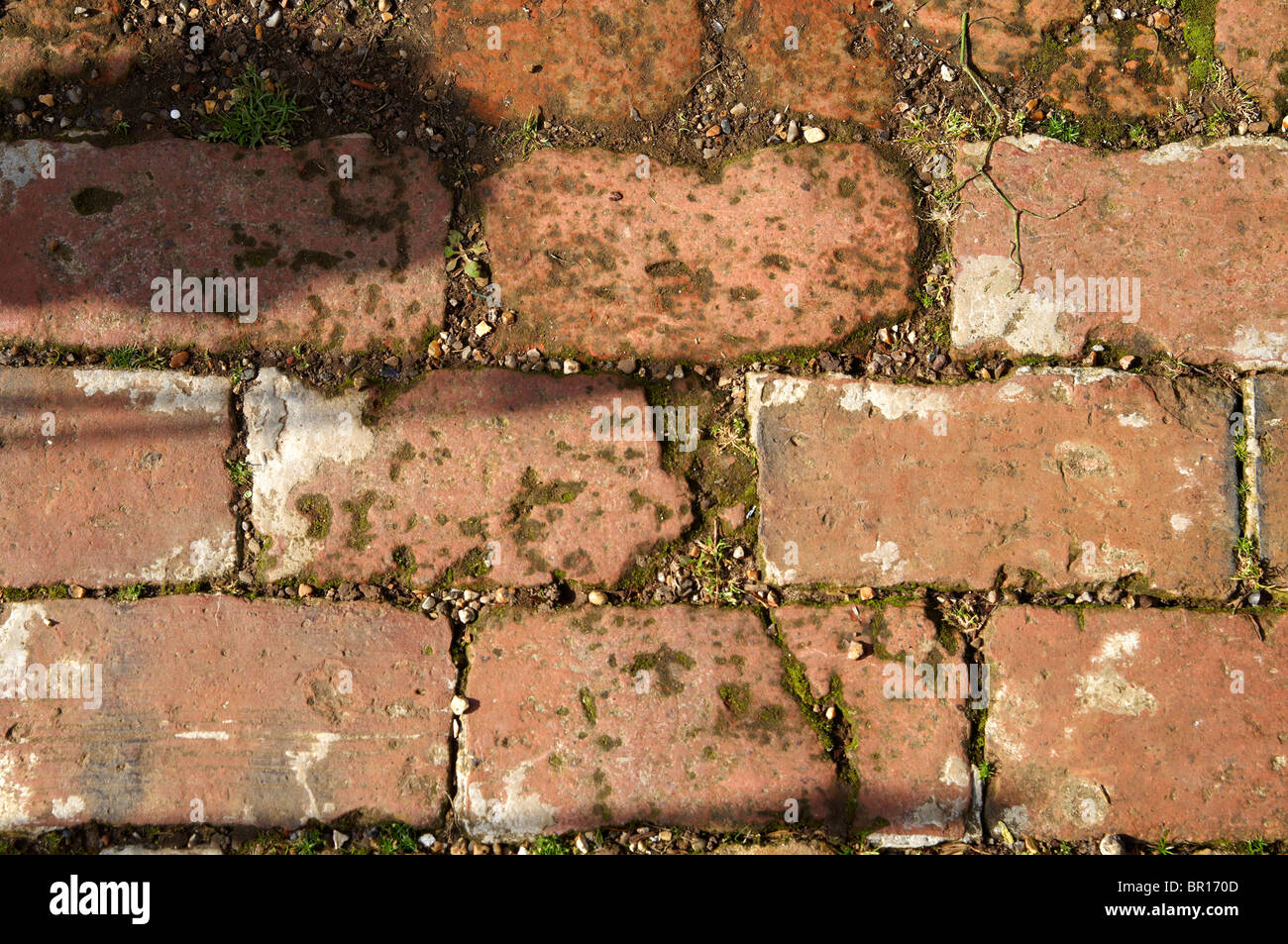 Rustic and worn brick pavers in an old Edwardian or Victorian path path ...