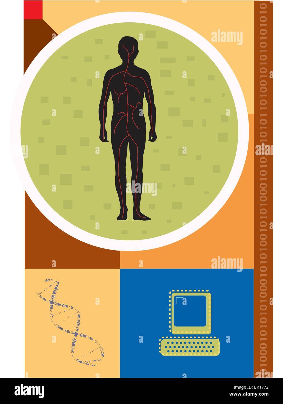 A graphical representation of a human body and DNA strand analyzed by a ...