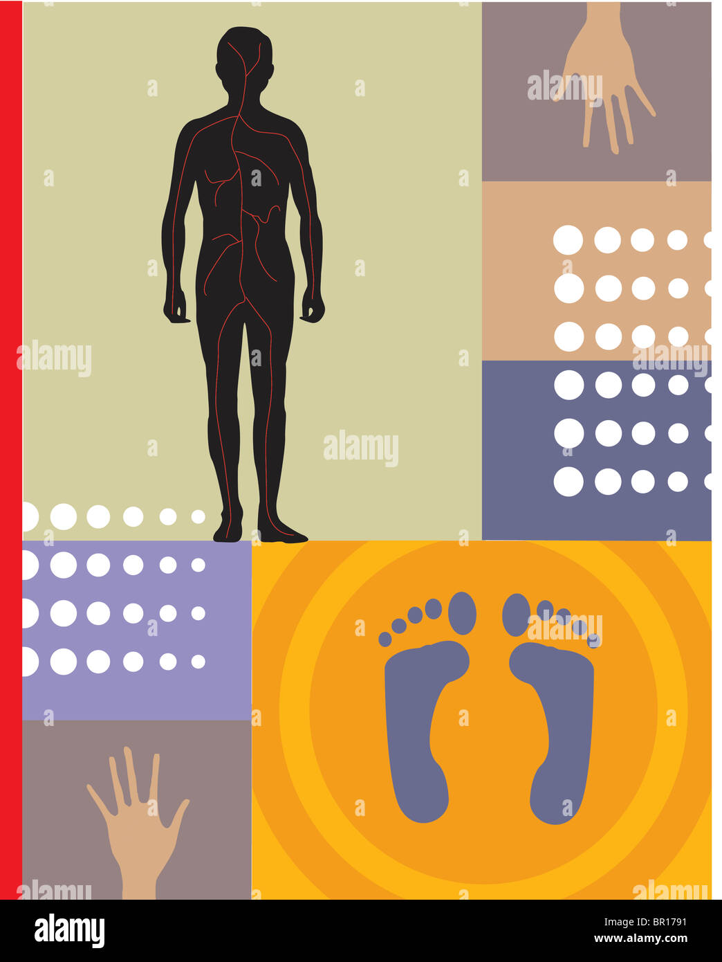 Reflexology feet illustration hi-res stock photography and images - Alamy