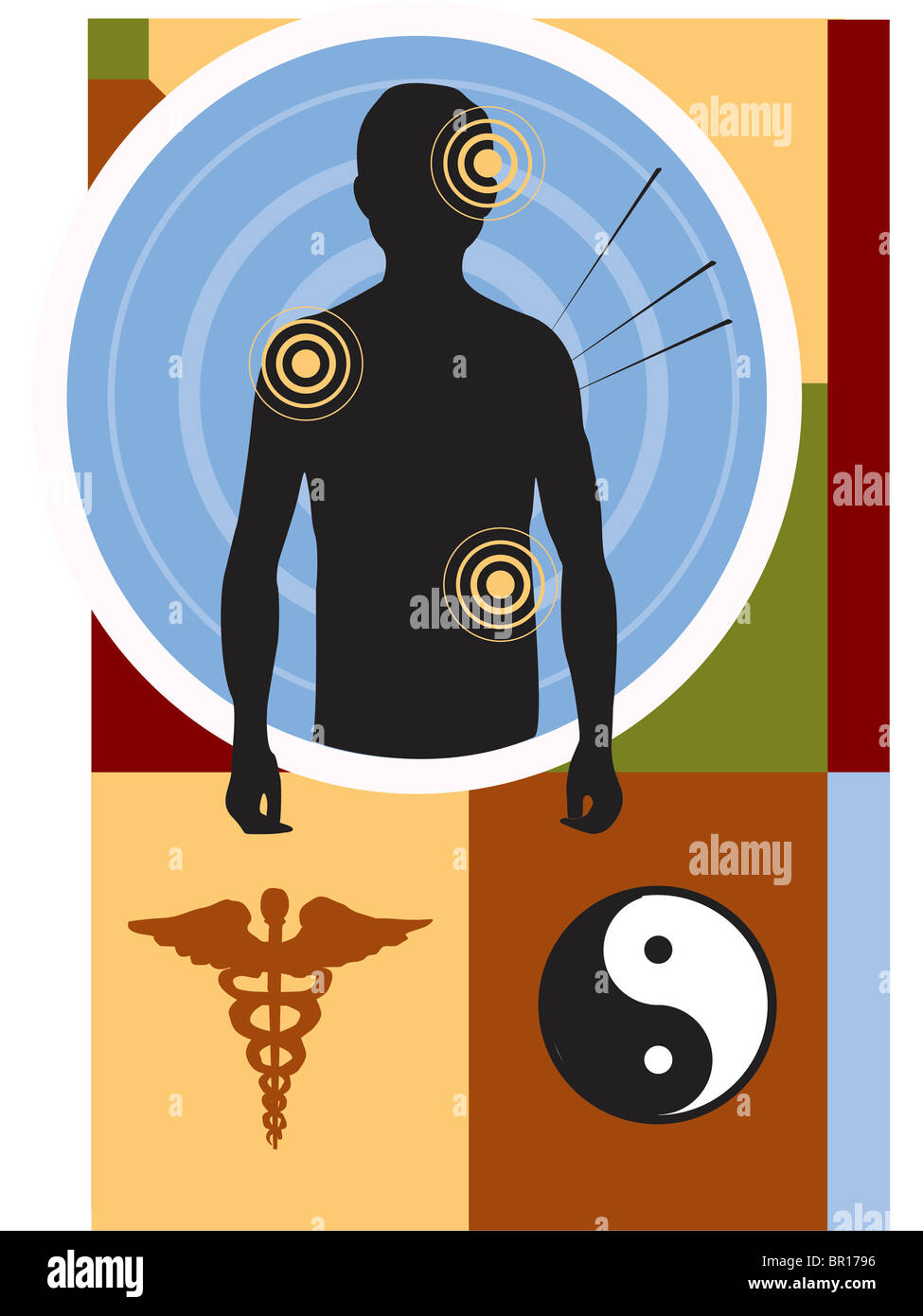 Accupuncture points hi-res stock photography and images - Alamy