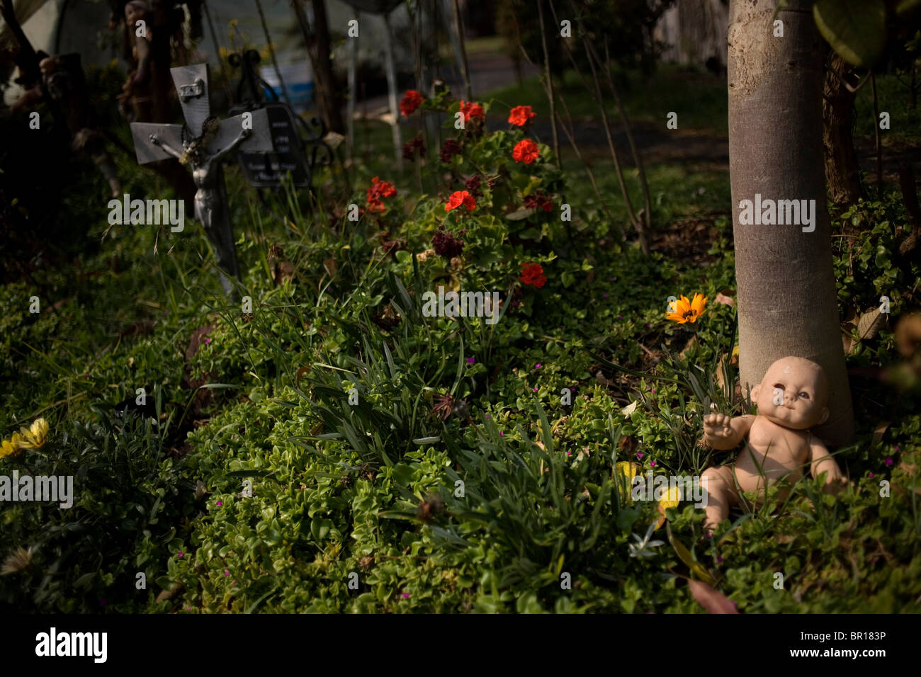 Island of dolls mexico hi-res stock photography and images - Alamy
