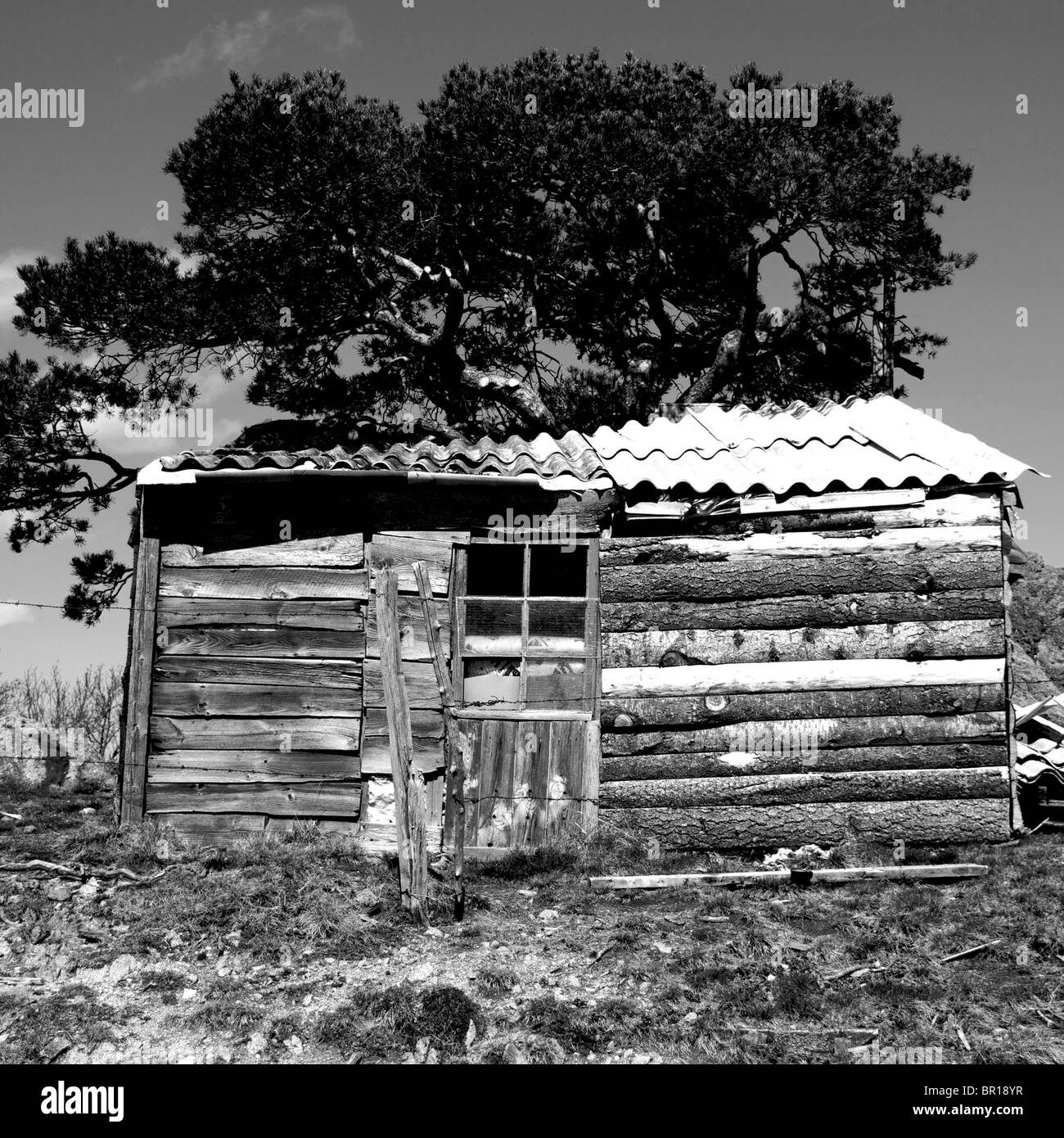 Old cabin in woods hi-res stock photography and images - Alamy