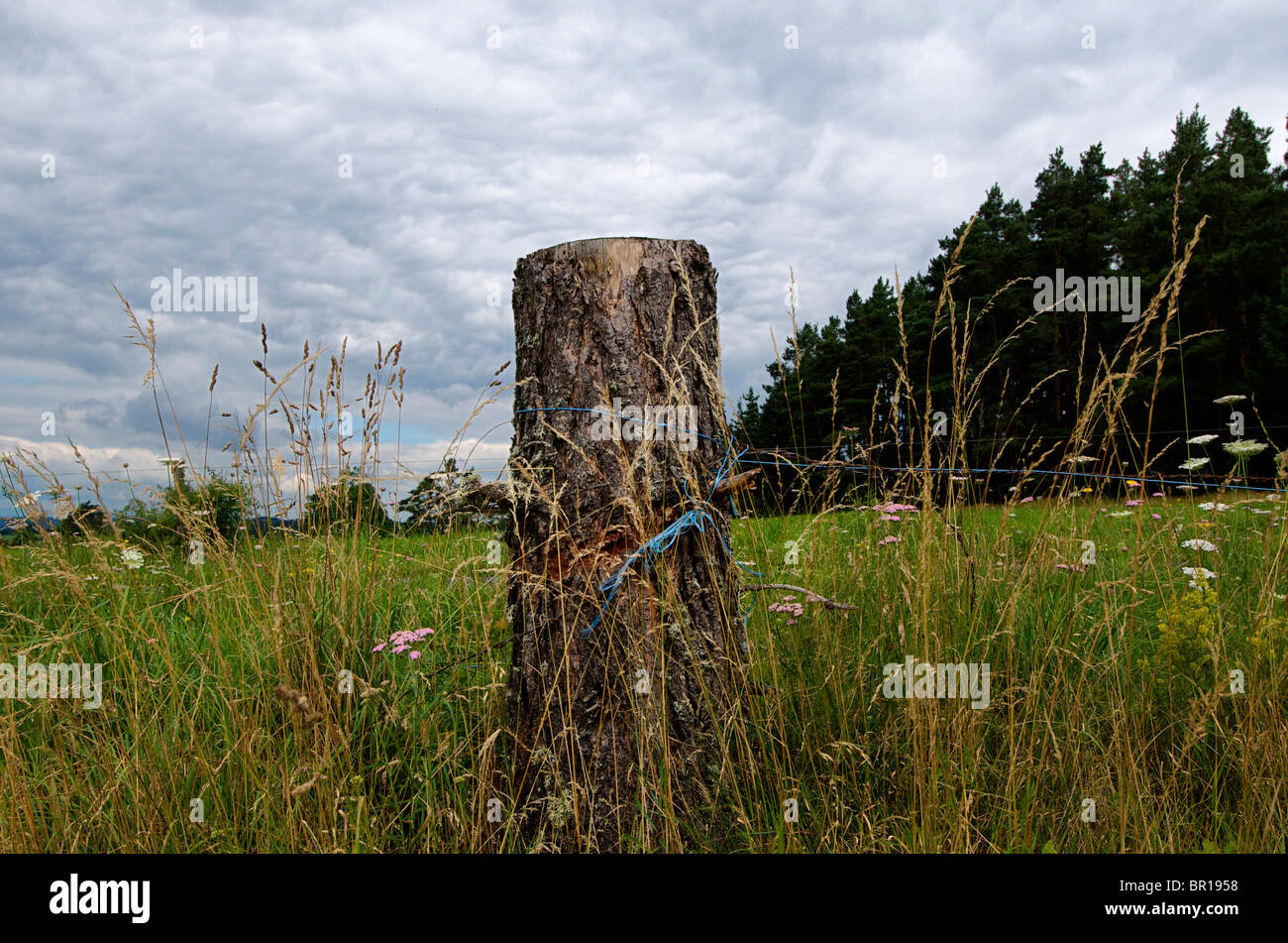 Photo posts hi-res stock photography and images - Alamy