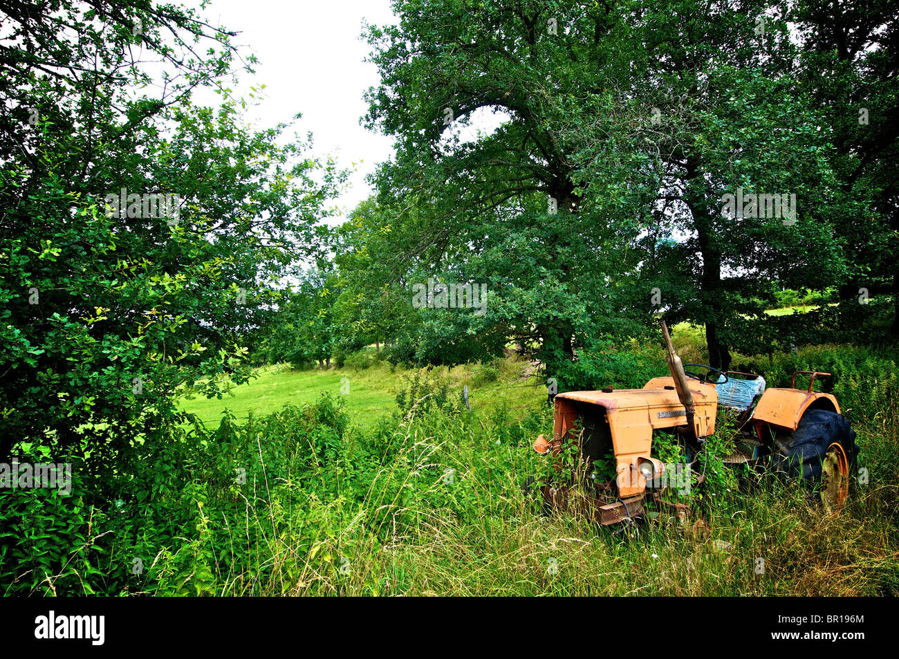 Overgrown farm machinery hi-res stock photography and images - Alamy