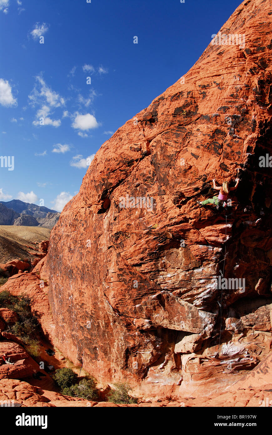 Woman rock climbing at Red Rocks National Recreation Area, Las Vegas ...
