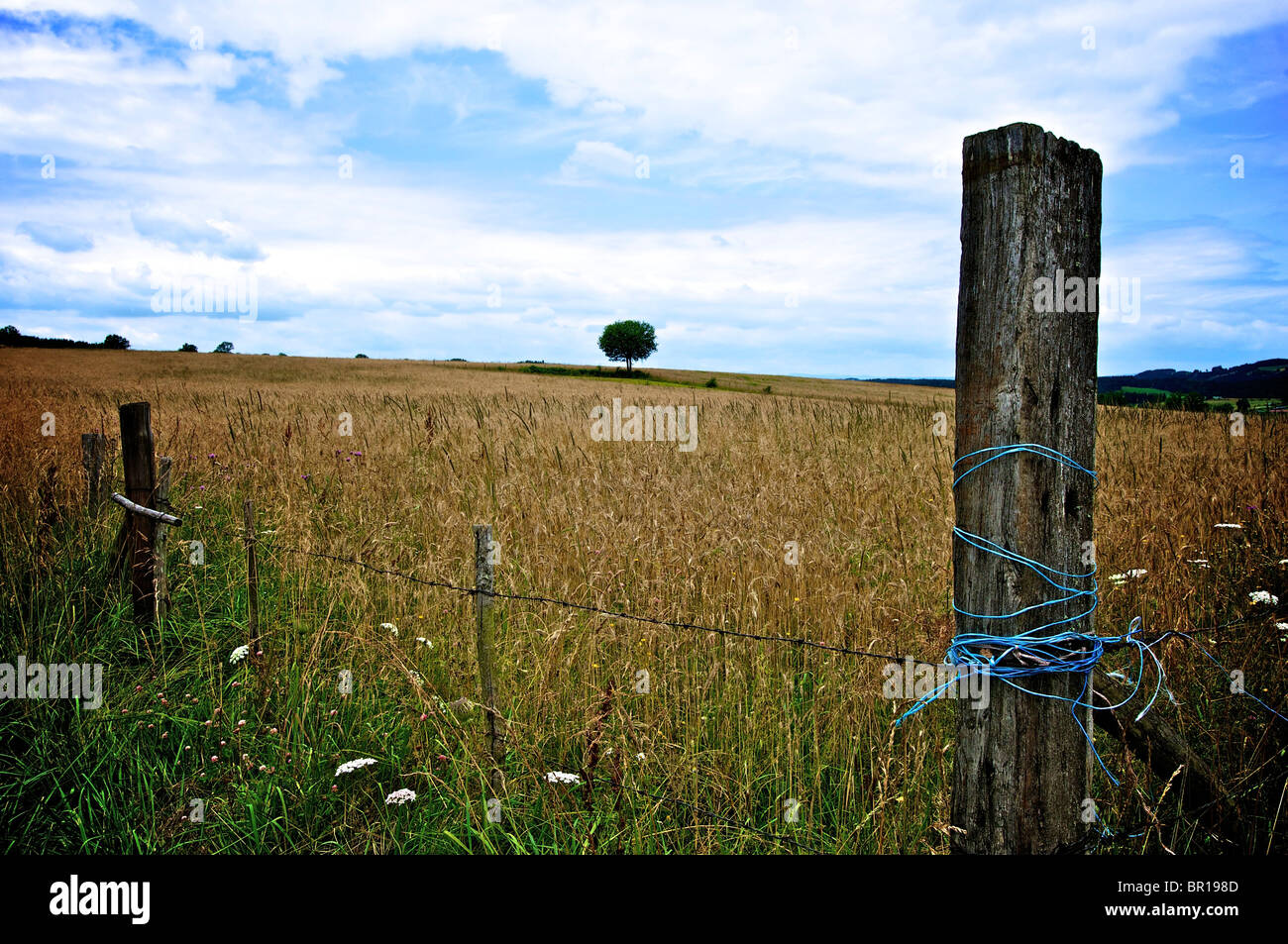 Photo posts hi-res stock photography and images - Alamy