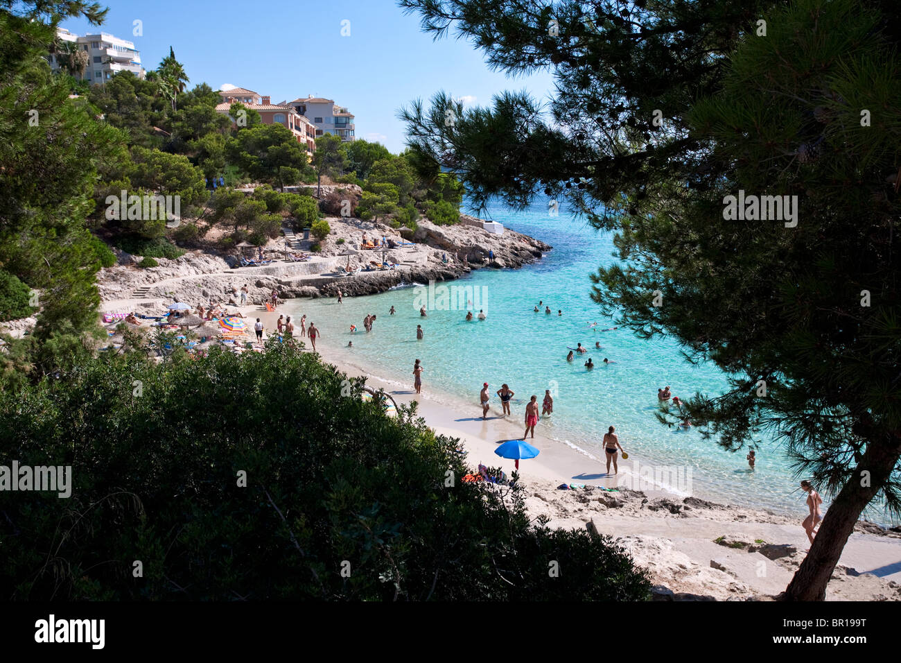 Cala comtessa hi-res stock photography and images - Alamy