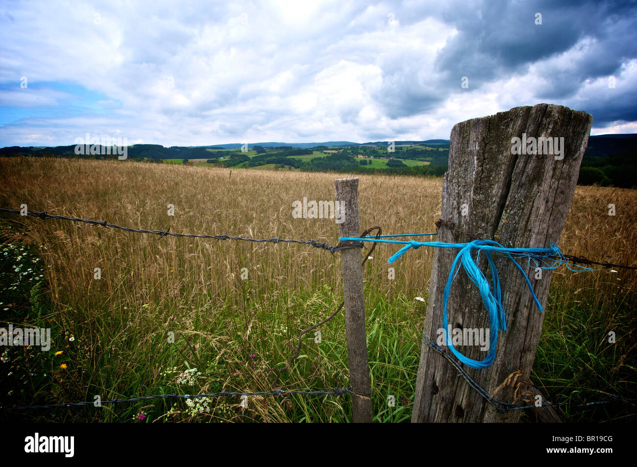 Pole post poles posts hi-res stock photography and images - Alamy