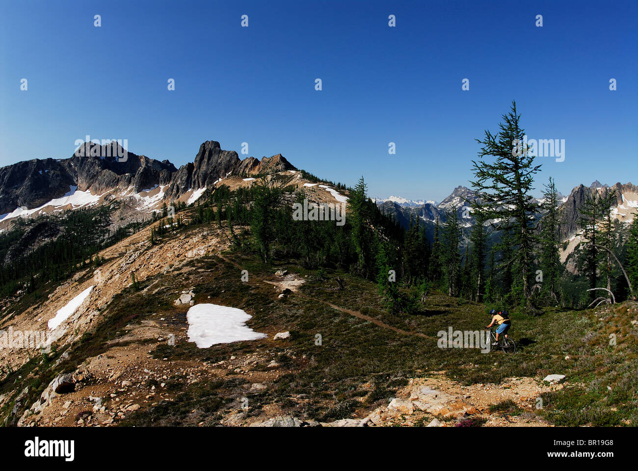 Pedalin hi-res stock photography and images - Alamy