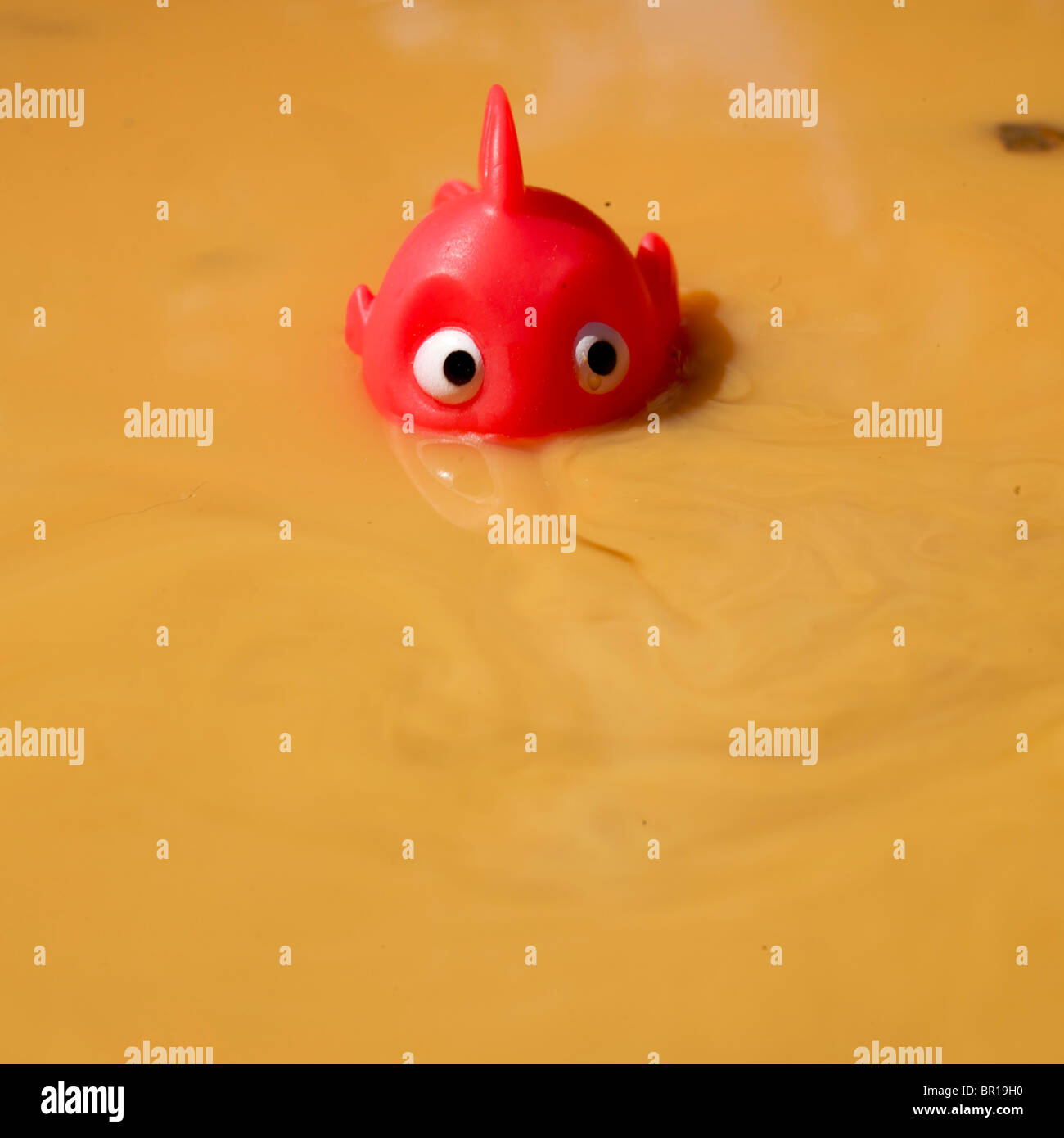 Plastic fish in some polluted water Stock Photo - Alamy