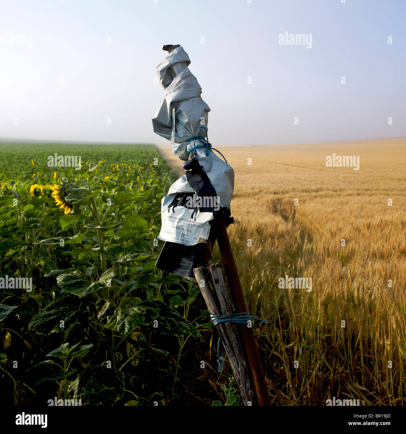 Stake fields hi-res stock photography and images - Alamy