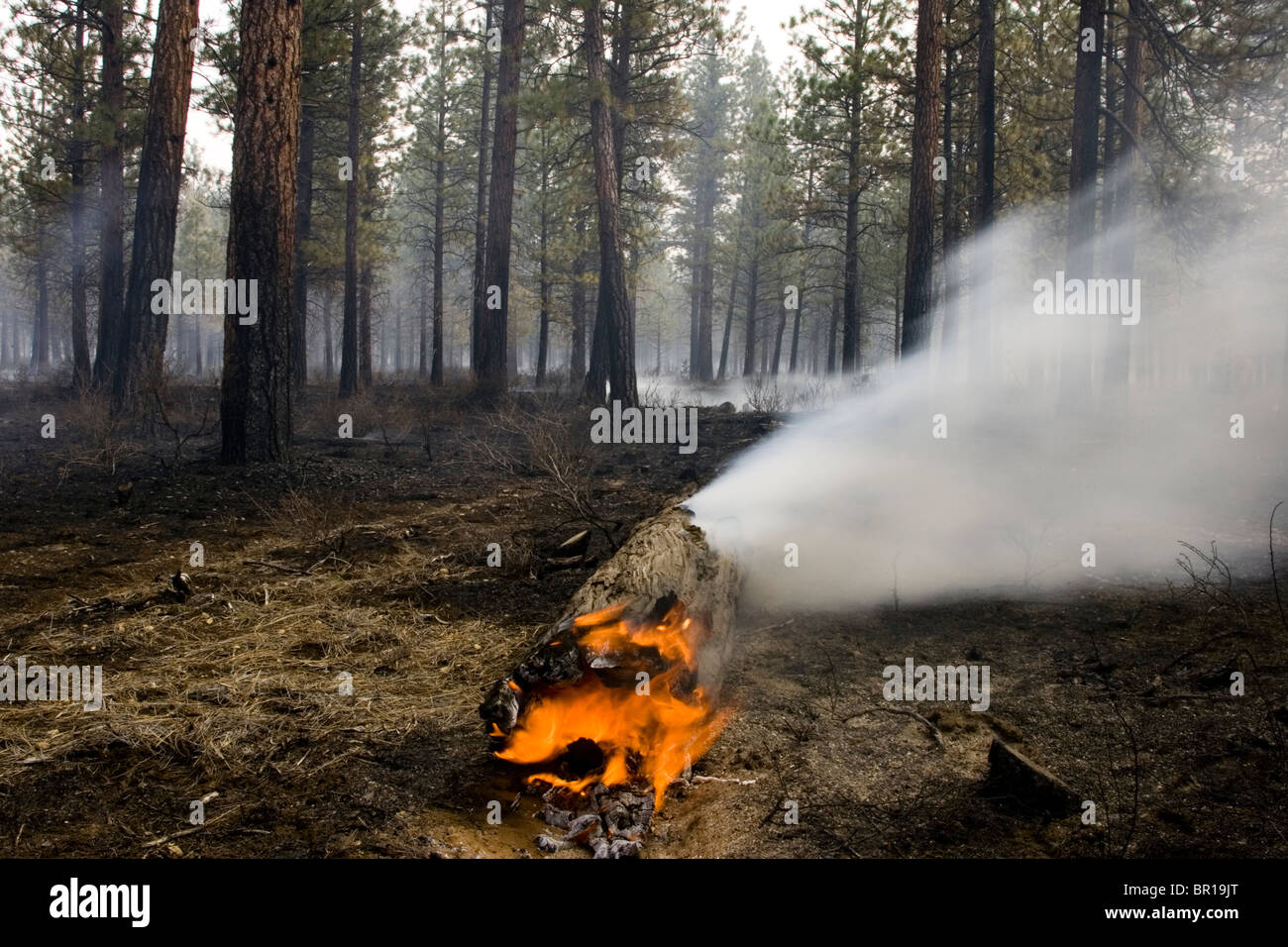 Burns sisters hi-res stock photography and images - Alamy