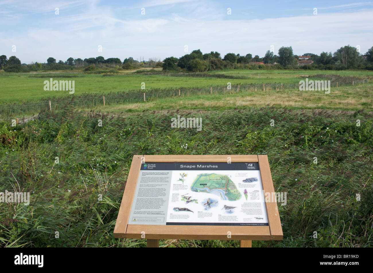 Ecosystem english countryside ecology hi-res stock photography and ...