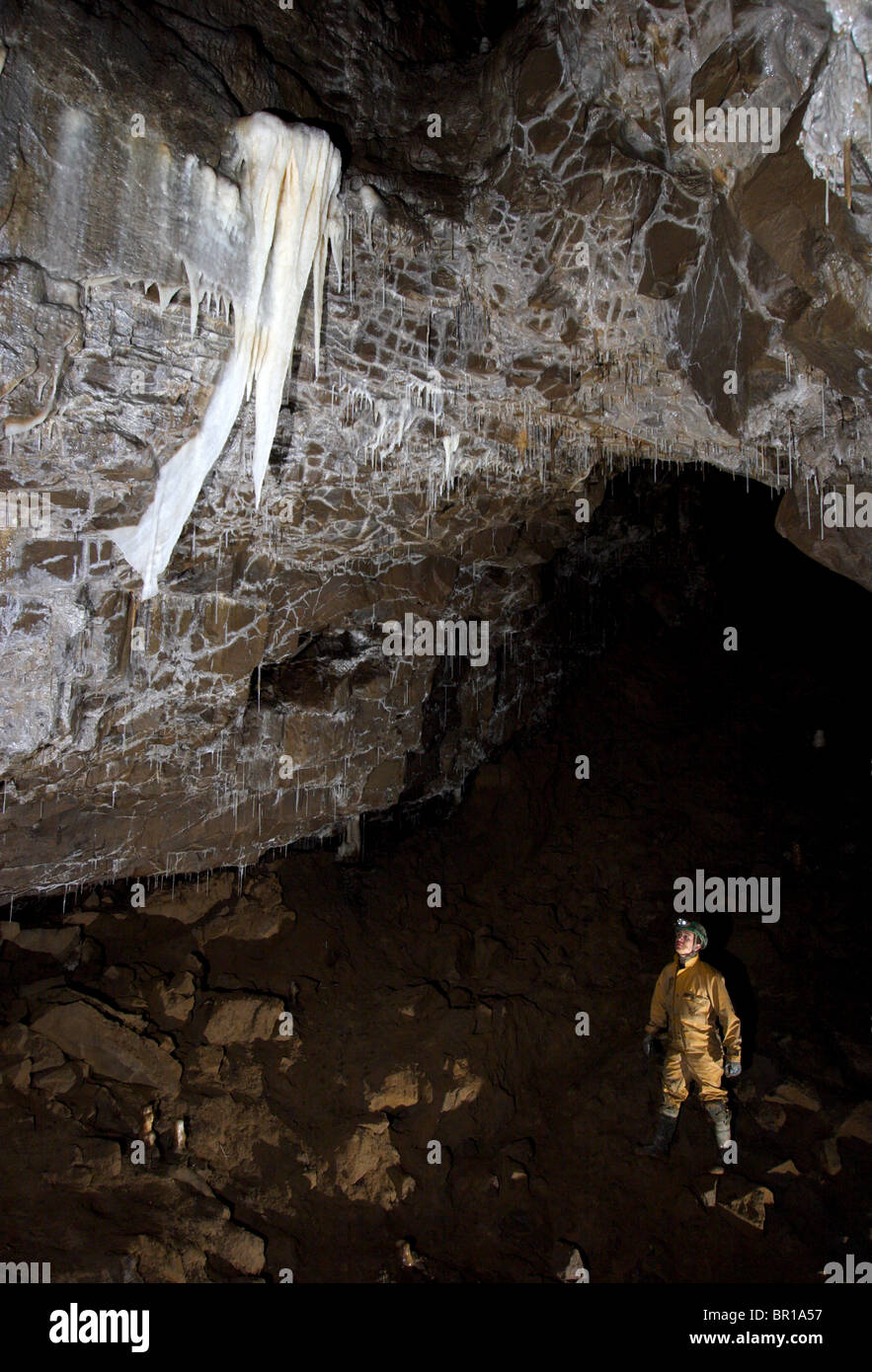 Cave explorer admires large cave formation called a Curtain high up on ...