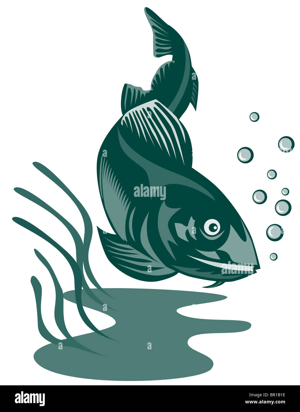 illustration of an atlantic cod fish swimming Stock Photo - Alamy