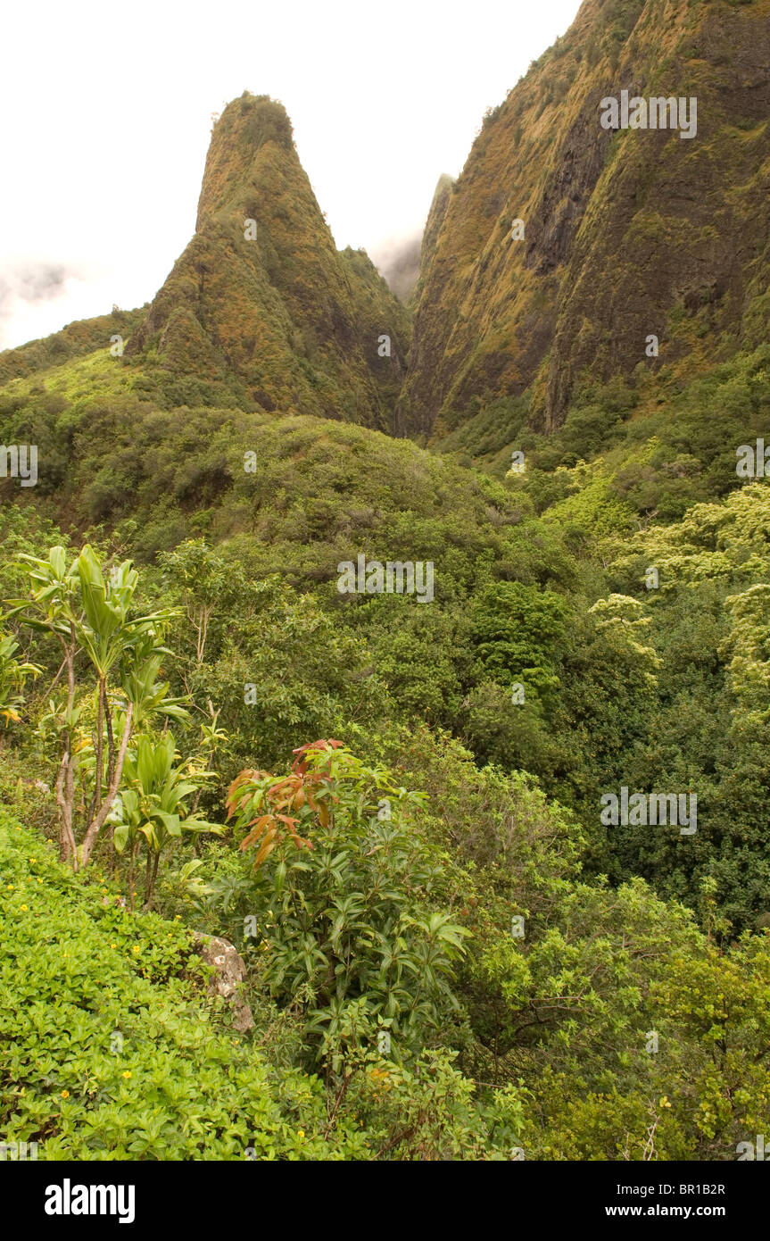 Misty clouds and the Iao Needle in Iao Valley State Park Stock Photo ...