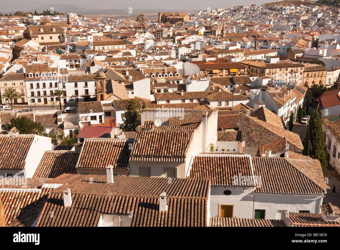 View Across Roof Tops High Resolution Stock Photography and Images - Alamy