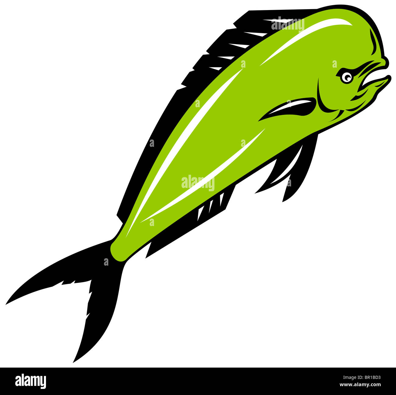 retro style illustration of a dorado dolphin fish or mahi-mahi jumping ...